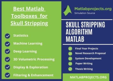 Performance Evaluation of Skull Stripping Algorithm Matlab Programming