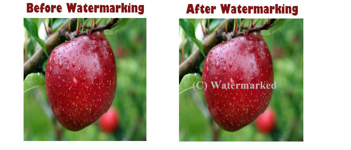 WATERMARKING PROJECTS | IEEE Watermarking Projects